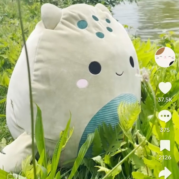 Squishmallows | Toys | Squishmallows Nwt Lockness Monster Squishmallows ...
